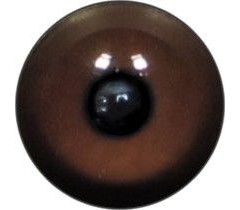 Grebe // Realistic Animal Eyes for Stuffed Plush Toys